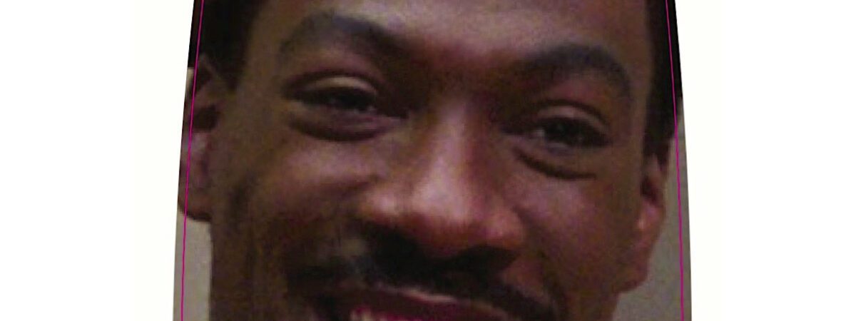 King Jaffe's Zamundian IPL - Asheville Brewing Company